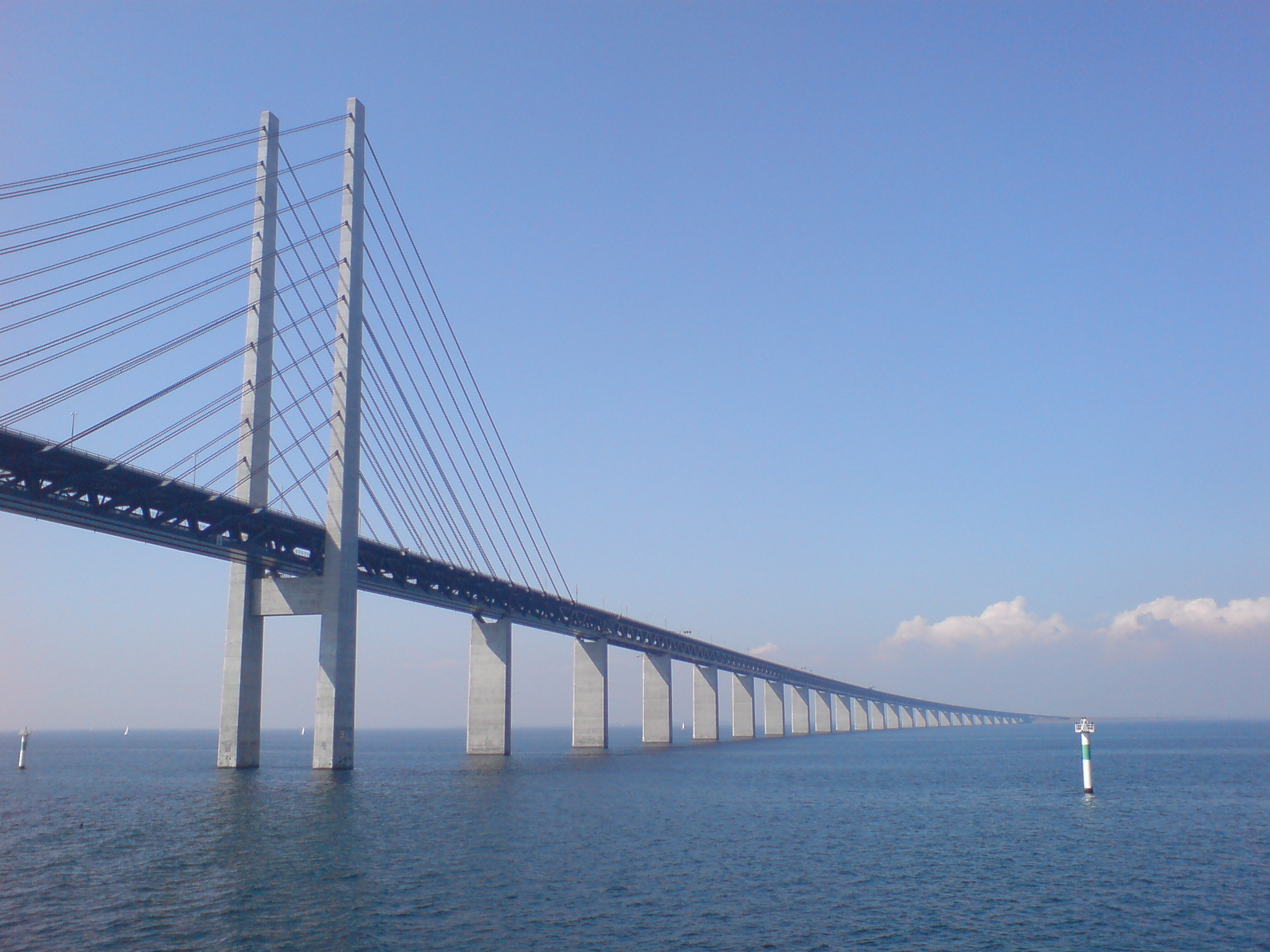Bridge to the Future - Daily Scandinavian
