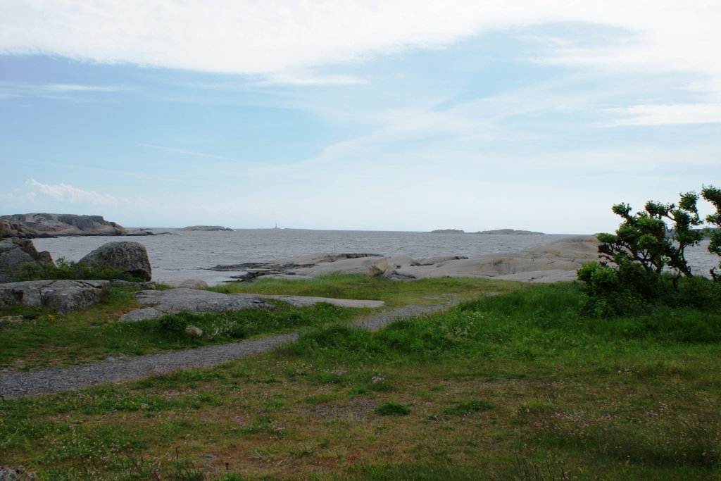 The Norwegian Asparagus Island - Daily Scandinavian