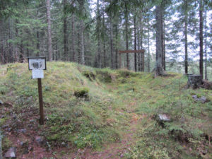 The Forest Finn Culture in Norway - Daily Scandinavian
