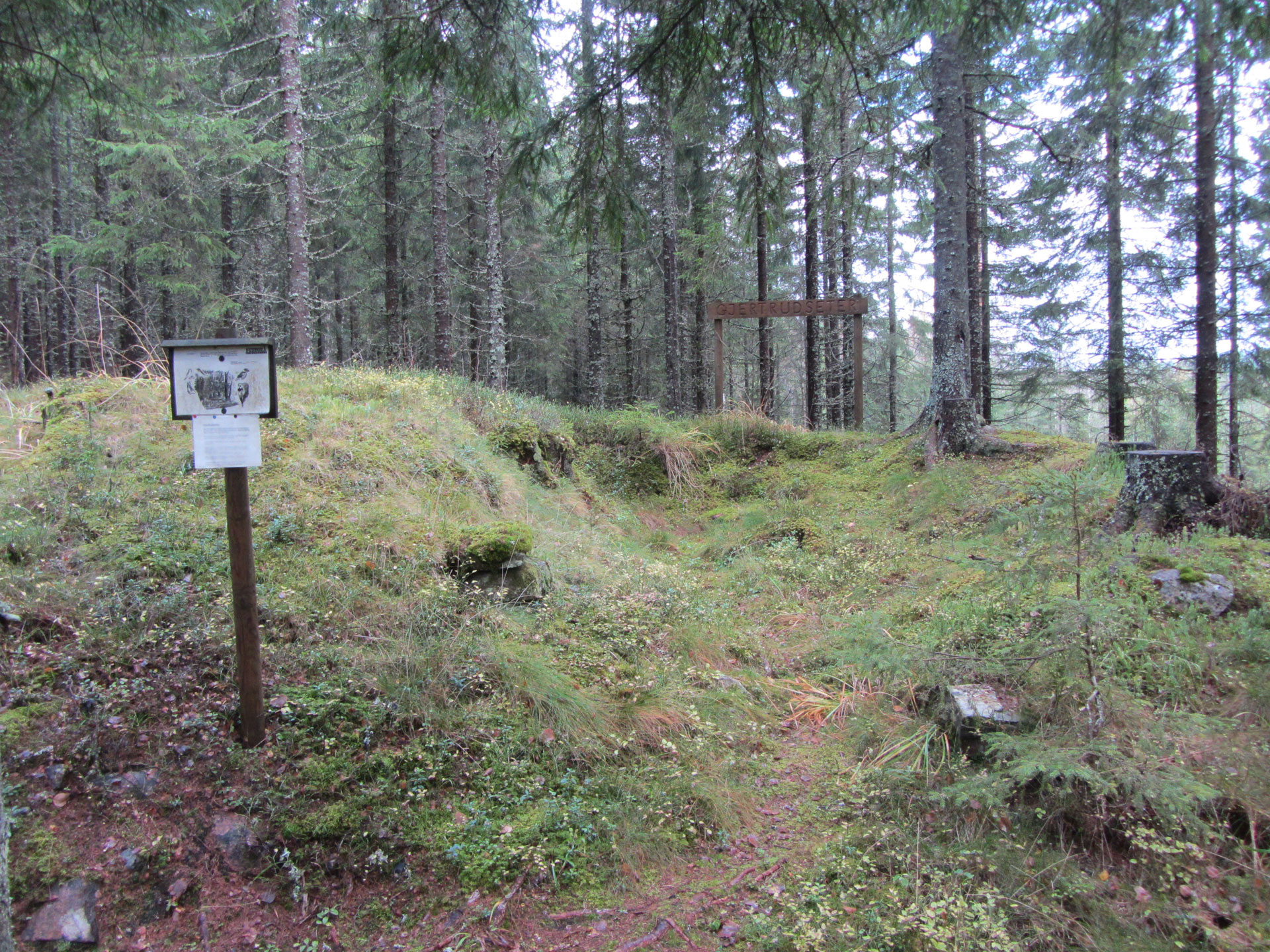 The Forest Finn Culture in Norway - Daily Scandinavian