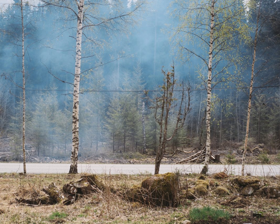 World of the "Forest Finns" in Norway - Daily Scandinavian