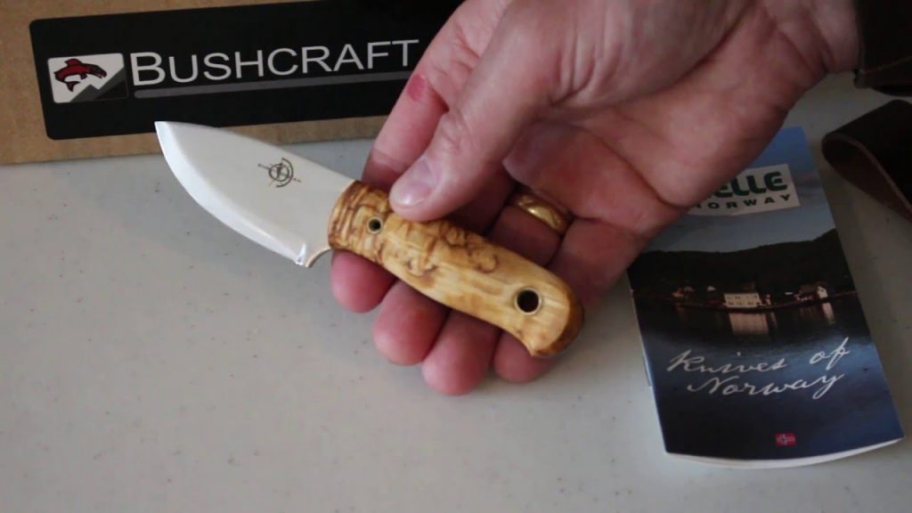 Sharp Competition From Norwegian Viking Descendants - Daily Scandinavian