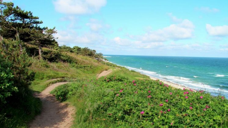 5 Unforgettable Hiking Trails in Denmark - Daily Scandinavian