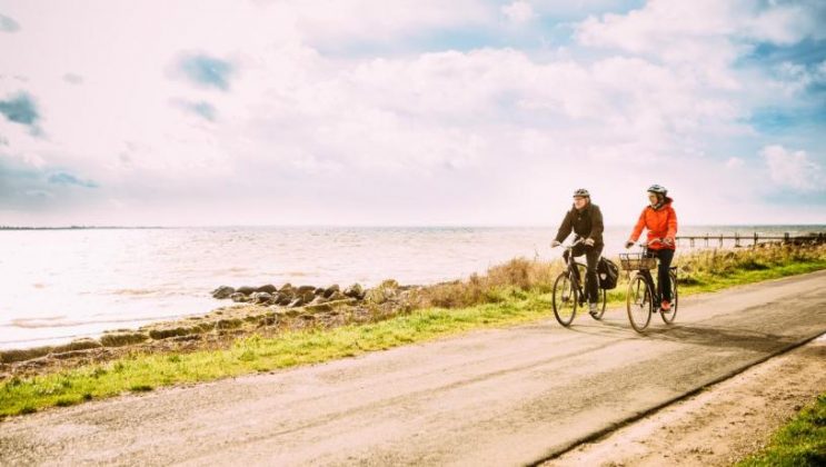The Danish Garden Island - Daily Scandinavian