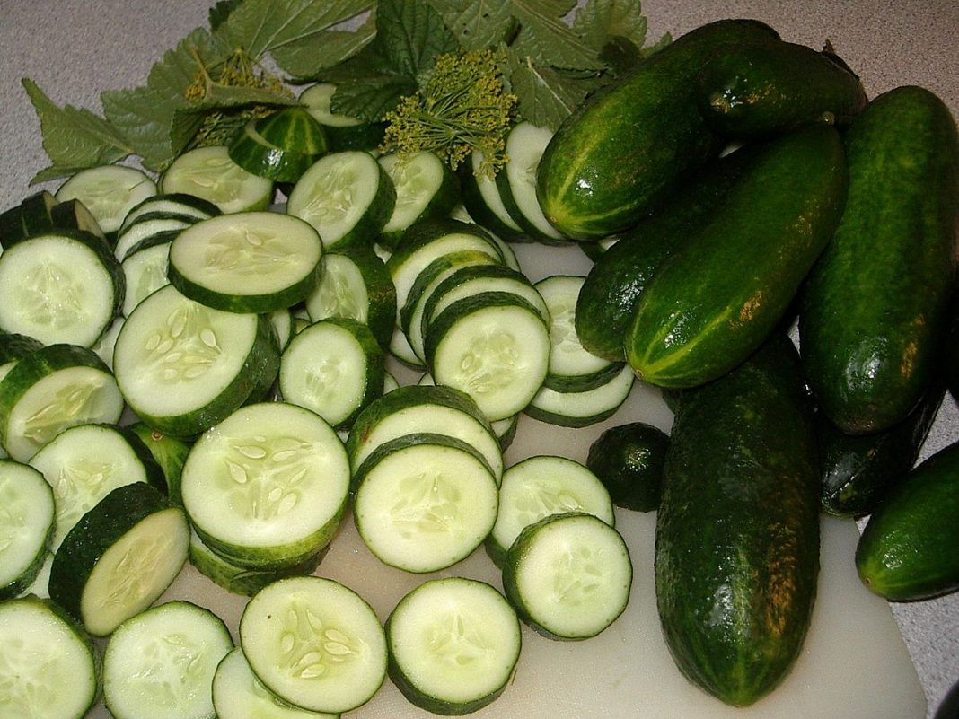 Scandinavian Cucumber - Daily Scandinavian