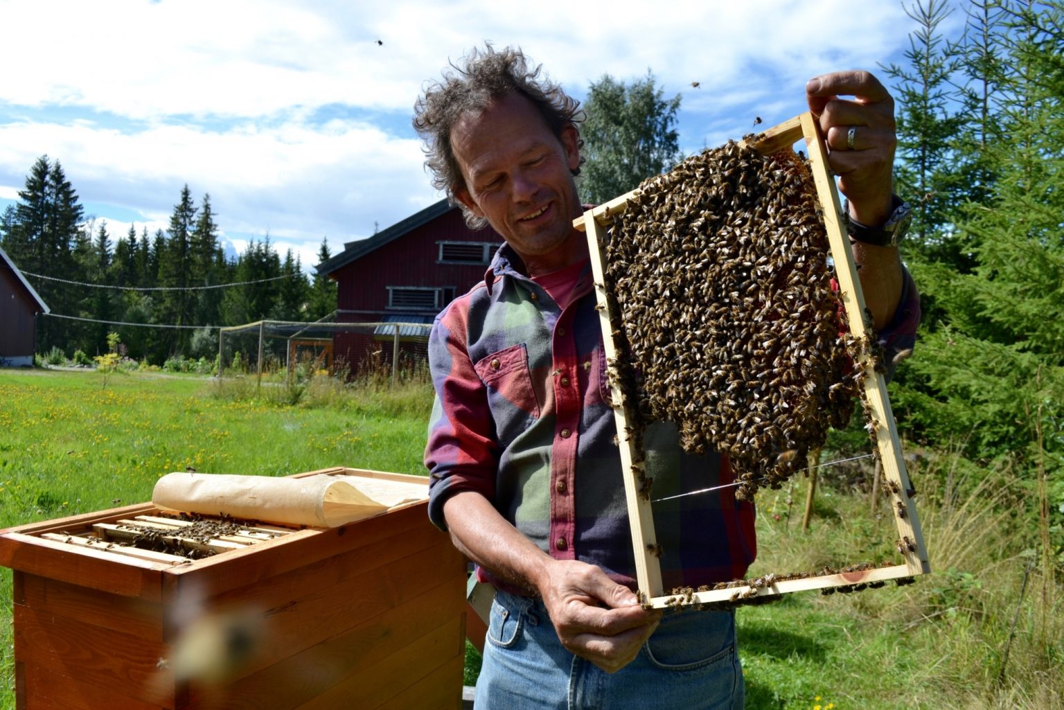 5 Things We Can Learn From Swedish Sustainability Efforts - Daily ...