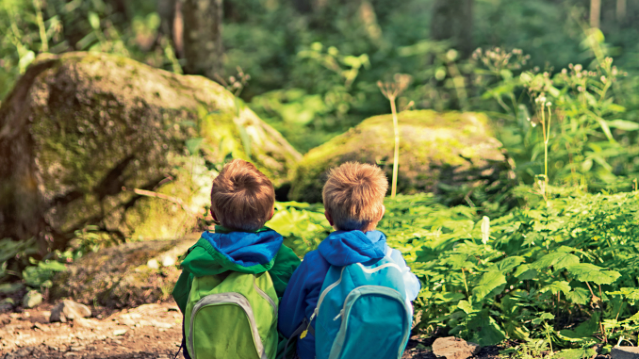 7 Rules of Norwegian Life that You Won’t Believe Right Away - Daily ...