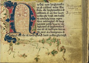 Understanding the Scandinavian Language - Daily Scandinavian