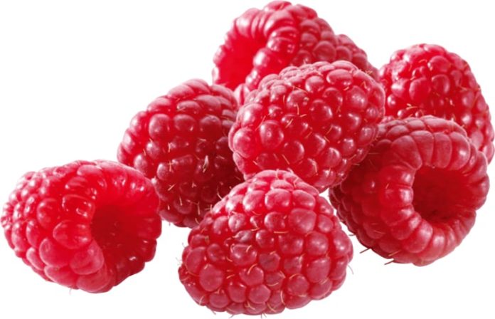 Scandinavian Raspberry - Daily Scandinavian