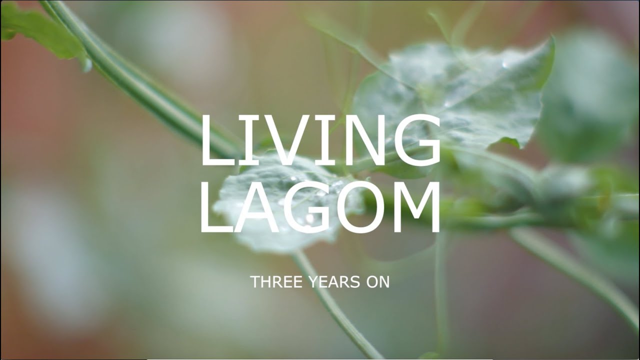 Living the Lagom Life in Sweden - Daily Scandinavian