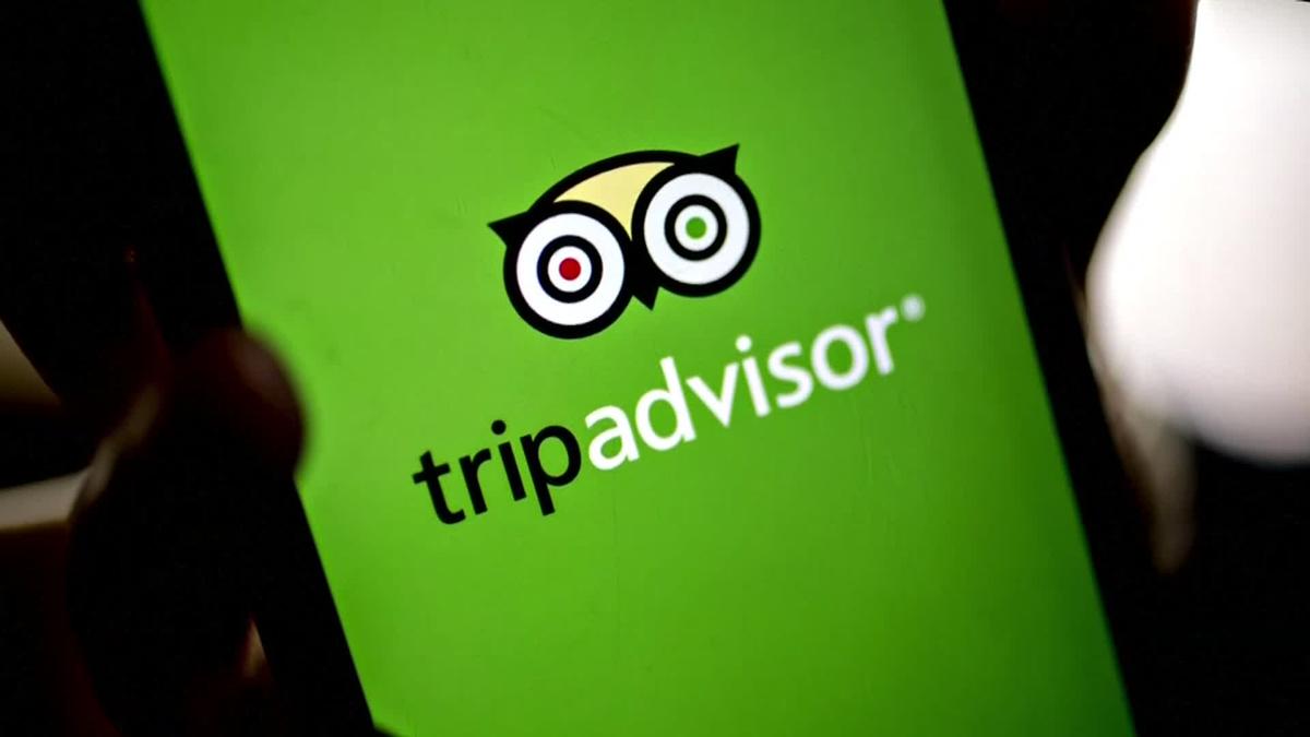 How I Use TripAdvisor for Booking Tours - Daily Scandinavian