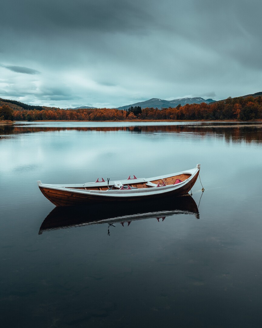 Arctic Autumn - Daily Scandinavian