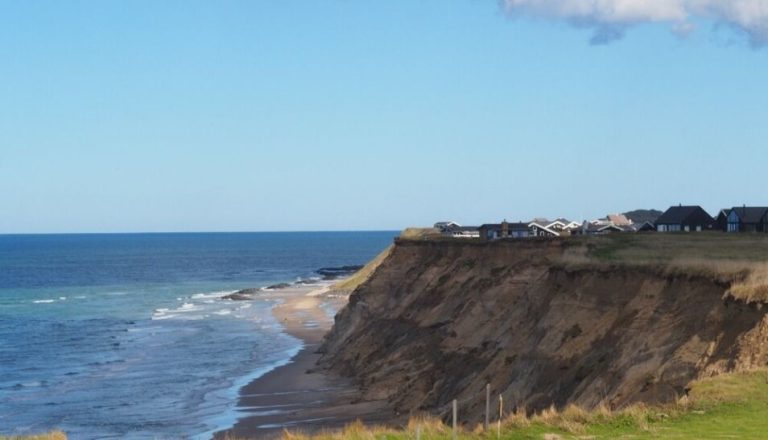 Moving to Denmark – Pros and Cons - Daily Scandinavian