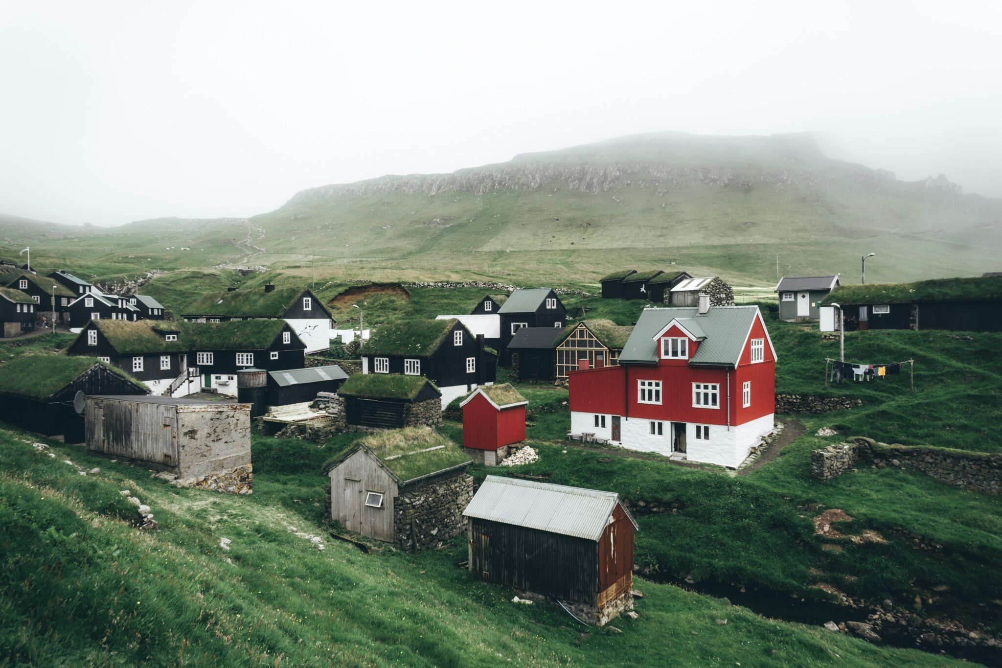 Green Roofs in Scandinavia: A Fusion of Nature and Architecture - Daily ...